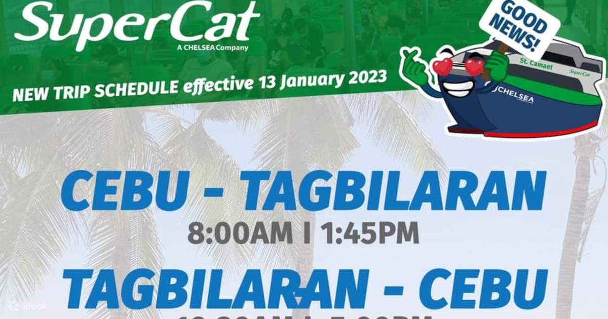 Supercat 편도 또는 왕복 페리 티켓 - 클룩 KLOOK 한국